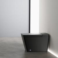 China High-End Automatic Smart Toilet 695x380x445mm Ceramic ABS Siphon Flushing Floor-Mounted for sale