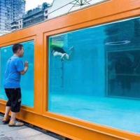 China Outdoor Steel Structure Frame 20FT 40FT Prefabricated Container Swimming Pool for sale
