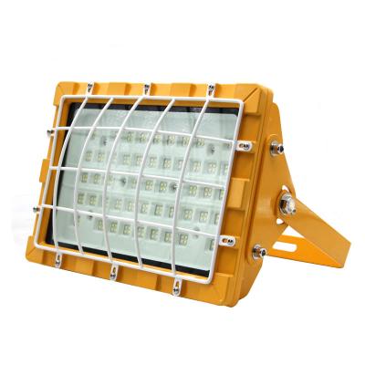 China 2700K - 6500K High Power Explosion Proof Lamp With Mesh Cover IP65 for sale