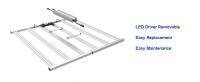 China 720W Smart LED Grow Light Bulb Industrial Grow Light for Veg and Flower 2052 PPF for sale