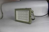 China 30W Wall Mounted Explosion Proof Lights Led Flame Proof Street Light Equipment Safety for sale