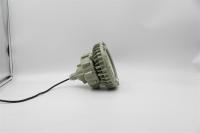 China Class 1 Zone 1 Explosion Proof Lighting Ip Rating IP66 Outdoor for sale