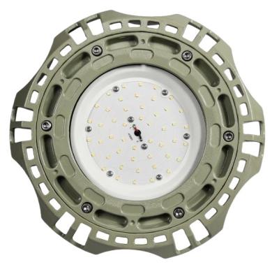 China AC 220V Explosion Proof Led Lighting Class 1 Division 1 Atex Lamps 185W for sale