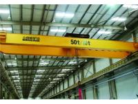 China European Style Single Hook Double Girder Overhead Crane Workshop Operation for sale