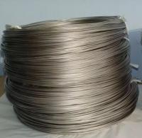 China Round Titanium Straight / Coil Wire For Medical Sporting Goods Earrings Electroplating Hangers for sale