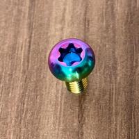 China Iso7380 GR5 Titanium Nut Bolt With Inner Torx Head for sale