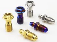 China Gr5 Ti6al4v Titanium Alloy Bolts Oil Pipe Exhaust Screw for sale