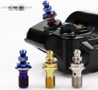 China Gr5 Ti6al4v Titanium Alloy Bolts Oil Pipe Exhaust Screw for sale