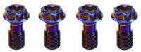 China Gr5 Ti6al4v Titanium Alloy Bolts Oil Pipe Exhaust Screw for sale
