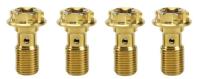 China Gr5 Ti6al4v Titanium Alloy Bolts Oil Pipe Exhaust Screw for sale