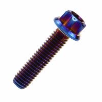 China Titanium Alloy Inner Outer Plum Flange Screws M6 Calf Motorcycle Modification for sale
