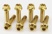 China Titanium Alloy Inner Outer Plum Flange Screws M6 Calf Motorcycle Modification for sale