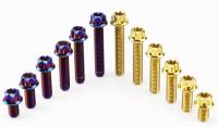 China Titanium Alloy Inner Outer Plum Flange Screws M6 Calf Motorcycle Modification for sale