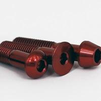 China Electrophoresis GR5 Titanium Nut Bolt For Bike / Motorcycle / Car for sale
