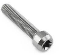 China M5 X 20mm T25 Torx Cylindrical Head Screws Titanium Alloy for sale