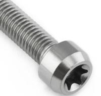 China M5 X 20mm T25 Torx Cylindrical Head Screws Titanium Alloy for sale