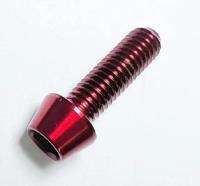 China Tapered Head Hexagon Titanium Nut Bolt For Bicycles And Motorcycles for sale