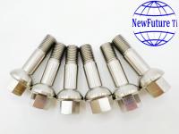 China Titanium Alloy Hub Bolt Screw M14 Modification Of Suv And So On for sale