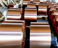 China Pure Red Flat Copper Strip With 0.1mm Thickness For Electronic Industrial Decorative for sale