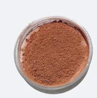 China Water Gas Atomized Electrolytic Ultra Fine Pure Nano Copper Powder for Industry for sale