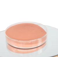 China Bronze Powder Rich Pale Gold Copper Powder with Good Brilliance and Metallic Effect for Decorative Paints for sale