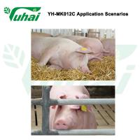 China Custom Livestock Ear Tags Animal Ear Tags For Farming Management for sale