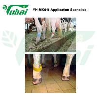 China EVA Livestock Bands Colorful Legband Poly Urethane For Cow Horse Cattle Sheep for sale