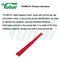 China PP Livestock Bands 36cmx4.2cm Colorful Leg Bands For Cow Or Cattle for sale