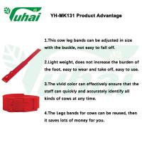 China PP Livestock Bands 36cmx4.2cm Colorful Leg Bands For Cow Or Cattle for sale