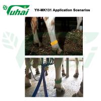 China PP Livestock Bands 36cmx4.2cm Colorful Leg Bands For Cow Or Cattle for sale