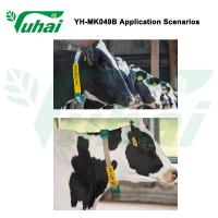China Custom Livestock Bands Identification Marking Tape With Number Plate Neck Collar Adjustable for sale