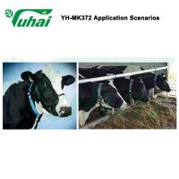 China Plastic Cow Collar Step Belt Provides Animals Walk Data Animals Woven Belt For Cattle Feeder for sale