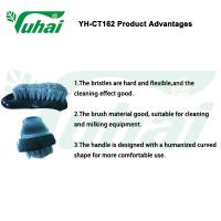 China All Purpose Cleaning Brush Heavy Duty Scrub Brush For Shower Bathtubs Floor Grout Lines Tiles for sale