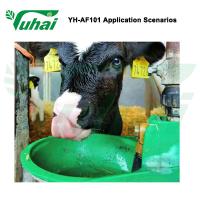 China Environmental Protection 2.6l Cast Iron Cattle Water Bowl Drinking Bottle Animal Drinking Equipment for sale
