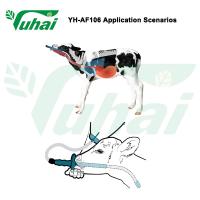 China 4L Animal Feeding Bottle PE Material Long Tube 44*26.5mm Livestock Equipment For Goats for sale