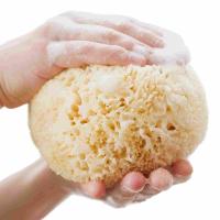 China 6-8cm Yellow Colored Bath Foam A Must-Have for B2B Customers' Requirements Size Is 8*8*4.2cm And Weight Is 10 Gram for sale