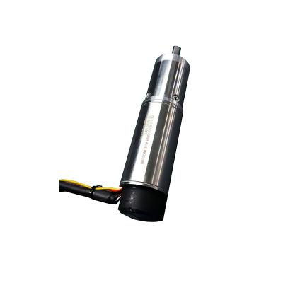 China High Torque Low Noise Mini Brushless Hollow Cup Motor 6V 9V 12V for sale