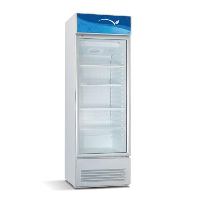 China Commercial Upright Display Freezer 218-438L Capacity for Ice Cream and Frozen Food Storage for sale