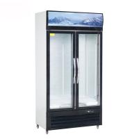 China Commercial 1000L Vertical Glass Door Freezer - 175W Power, 12V-240V Voltage, Energy Efficient Cold Drinks Storage for sale