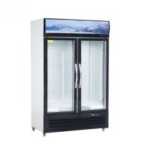 China Commercial 1000L Vertical Glass Door Freezer - 175W Power, 12V-240V Voltage, Energy Efficient Cold Drinks Storage for sale