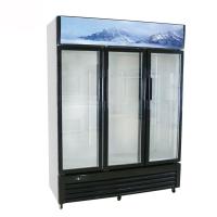 China Commercial 1000L Vertical Glass Door Freezer - 175W Power, 12V-240V Voltage, Energy Efficient Cold Drinks Storage for sale