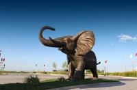 China Giant Outdoor Copper Animal Sculpture Elephant Garden Decoration Handicraft for sale