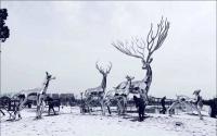 China SS316L Large Metal Animal Sculptures For Urban Decoration for sale