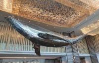 China Contemporary Life Size Stainless Steel Whale Sculpture For Hotel for sale