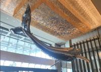 China Contemporary Life Size Stainless Steel Whale Sculpture For Hotel for sale