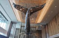 China Contemporary Life Size Stainless Steel Whale Sculpture For Hotel for sale