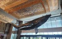 China Contemporary Life Size Stainless Steel Whale Sculpture For Hotel for sale