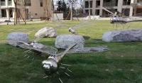 China Modern Art Outdoor Animal Statues Stainless Steel Dragonfly For Garden for sale