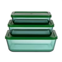 China IKOO Modern and Stylish Teal Color Glass Container Made of High Borosilicate Glass Oven Safe and Microwave Safe for sale