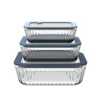 China IKOO Rectangular Striped Customizable BPA-Free Glass Food Container with Vented Glass Lid for sale